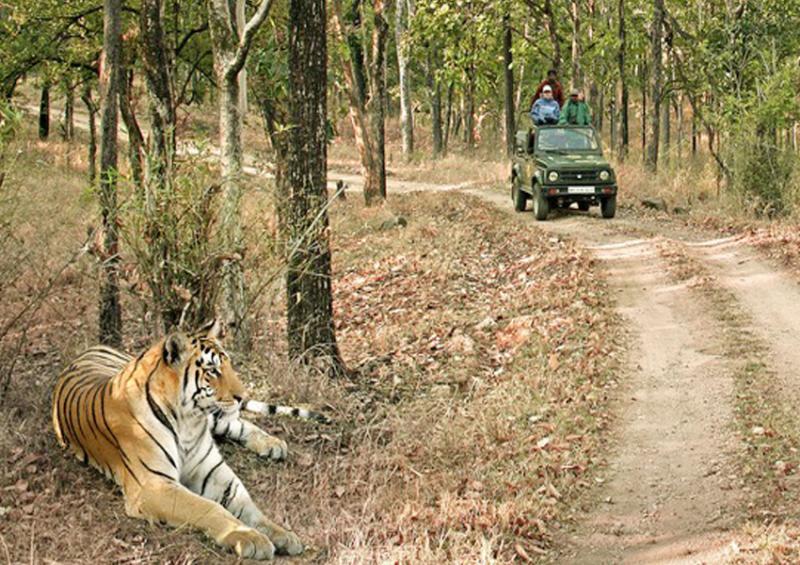 సఫారీకి సై! | Eco tourism starts in nallamala forest :Jungle Safari ...