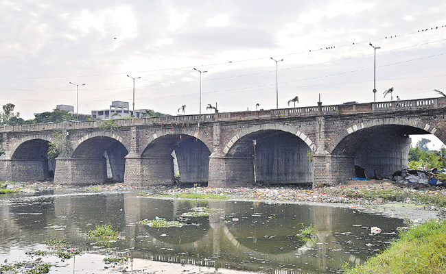 మూసీ దోమ..మహా స్ట్రాంగ్‌ | Telangana High Court Serious On Musi River ...