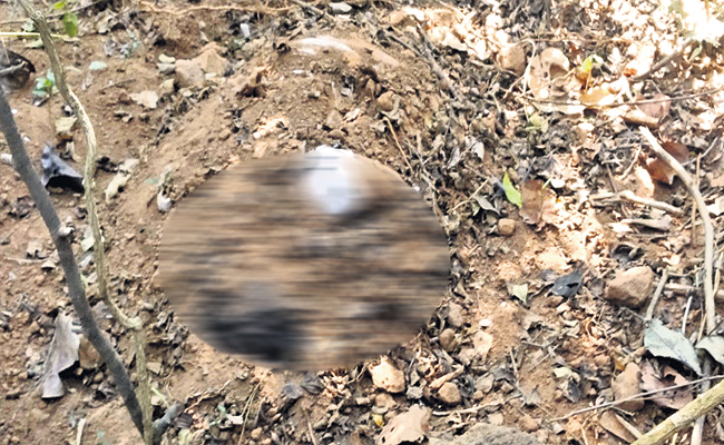 కారు చీకట్లో.. కనుమరుగైన కనుపాప | Mysterious death of Baby In Visakha ...