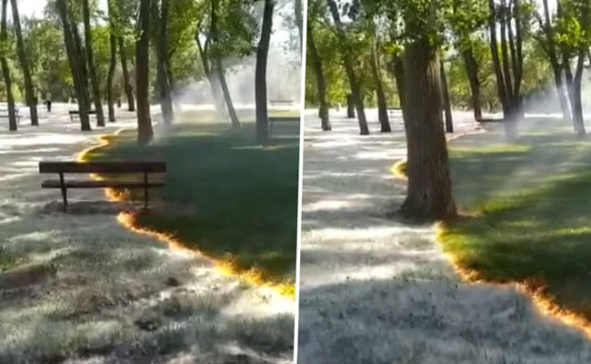 పార్క్‌లో విచిత్ర మంట‌లు | Fire At Park Not Burn Wooden Benches Or ...