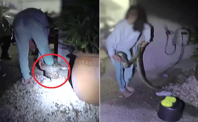 భయానకం: మహిళ కాలుకు చుట్టుకున్న పైథాన్‌ | Viral Video: Python Coiled ...