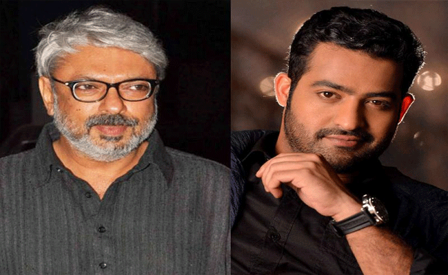 బాలీవుడ్‌ స్టార్‌ డైరెక్టర్‌ భన్సాలీతో ఎన్టీఆర్‌32వ సినిమా? | After ...
