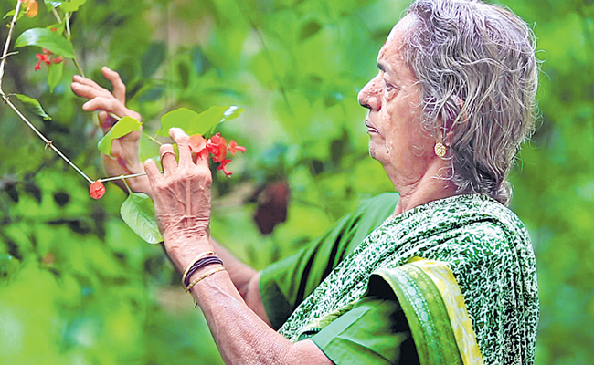 ఆమె అడవిగా విస్తరించింది | Devaki amma Artificial Forest | Sakshi