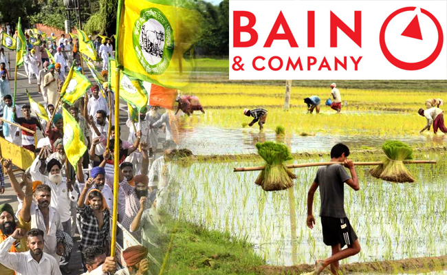 Bain Company Says New Farm Laws Can Create Billion Of Value Pool In ...