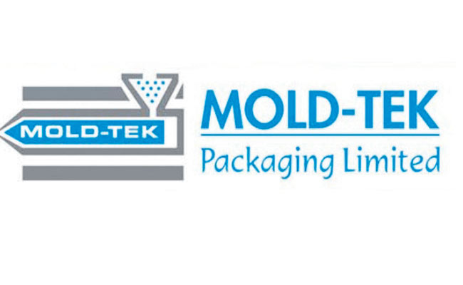 భారీగా పెరిగిన మోల్డ్‌టెక్‌ లాభం | Mold-Tek Pack Consolidated June 2021 ...