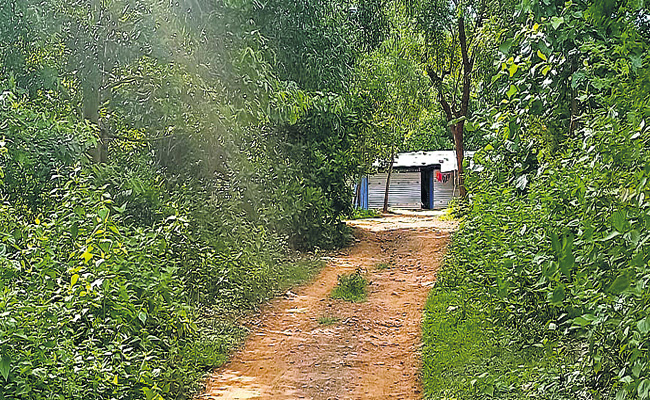 Simhadri Appanna Swamy Temple: TDP Leaders Staying In Lands - Sakshi