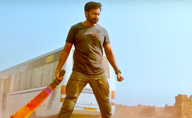 Gopichand Seetimar Movie Official Trailer Out Now - Sakshi