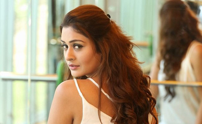 Payal Rajput Bold Reply To Trollers Who Troll Her In Social Media - Sakshi