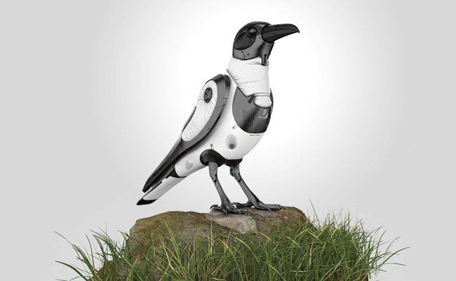 Robotic Crow: జీవం ఉట్టిపడే కాకి.. ఏం చేస్తుందంటే! | Iran Designer ...