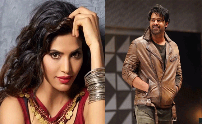 Bigg Boss Fame Sri Rapaka Comments On Prabhas Marriage - Sakshi