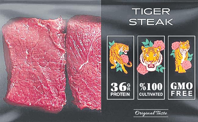 Lion Meat Burgers, Tiger Steaks and Zebra Sushi Roll Feature in Food ...