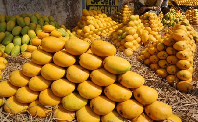 తుని.. మూడు తరాలుగా మామిడికి ప్రసిద్ధి | East Godavari: Tuni Famous For ...