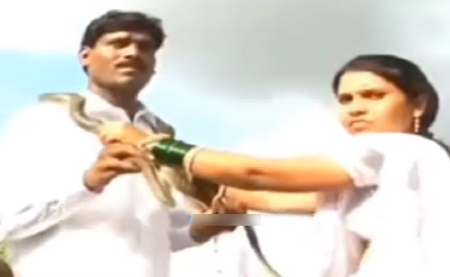 Bride & Groom Exchanging Snakes in Garlands, Old Video Viral on Social ...
