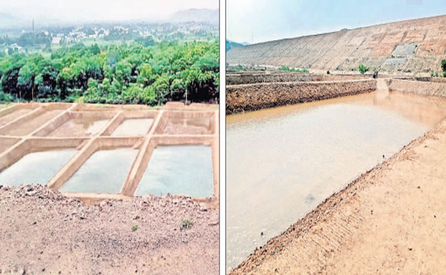చేప.. చెంగుమంటుంది! | Fish Farming In Kadapa District | Sakshi