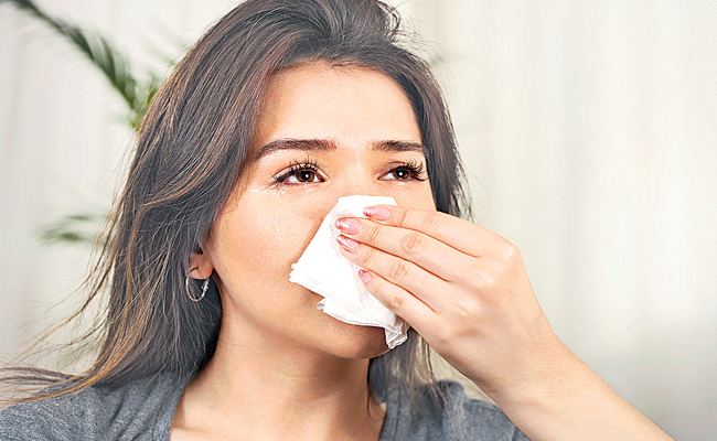 Health Tips: Best Home Remedies For Nose Bleeding Problems In Telugu ...
