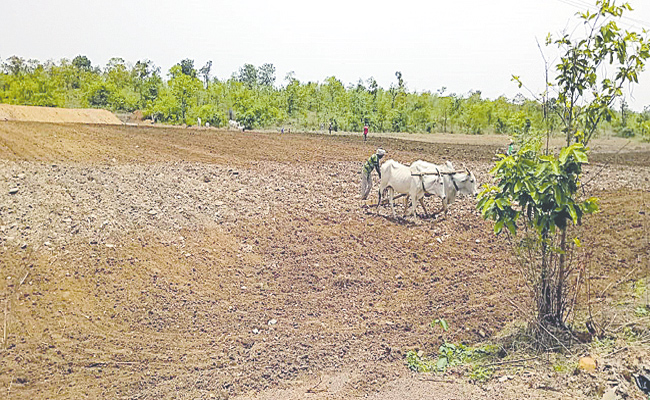 ‘పోడు’పై తెగని పంచాయితీ! | Podu lands Patta Distribution became hot ...