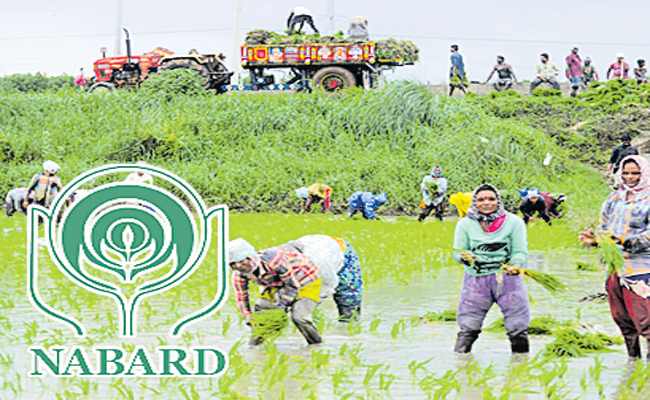 జాతీయ ఆదాయంలో.. ‘వ్యవసాయం’ వాటా తగ్గుతోంది | NABARD study on Challenges ...