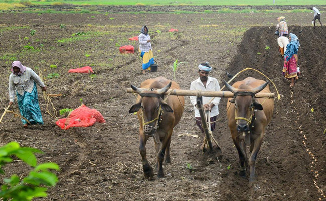 Rythu Bima Registration Date Extended Till August, Check Complete ...