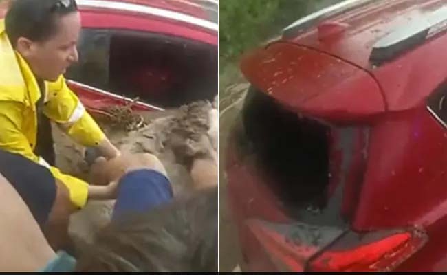 Viral Video: Little Girl Falling Out Of Car Window At Junction In China ...