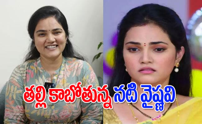 Devatha Serial Actress Vaishnavi Announced About Her Pregnancy, Video ...