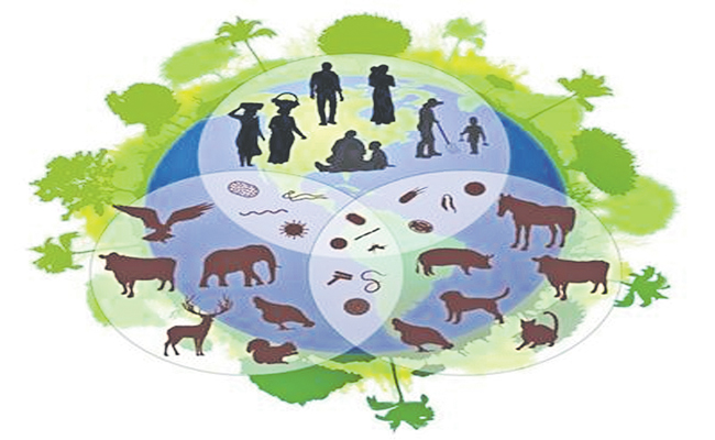 అన్నీ బాగుండాలి.. అందులో మనముండాలి! | One Health Program Aims Improve ...