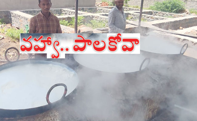 Guvvalacheruvu Palakova: గువ్వలచెరువు పాలకోవా అంటే ఫేమస్ ...