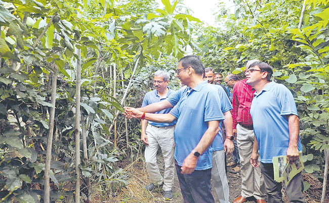 ద.మ.రైల్వేలో మియావాకి ప్లాంటేషన్‌ | Expansion Of Urban Forest In ...
