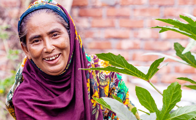 అర్బన్‌ ఫుడ్‌ హీరో మజెదా బేగం! | Mazeda Begum: Organic Farming, Urban ...