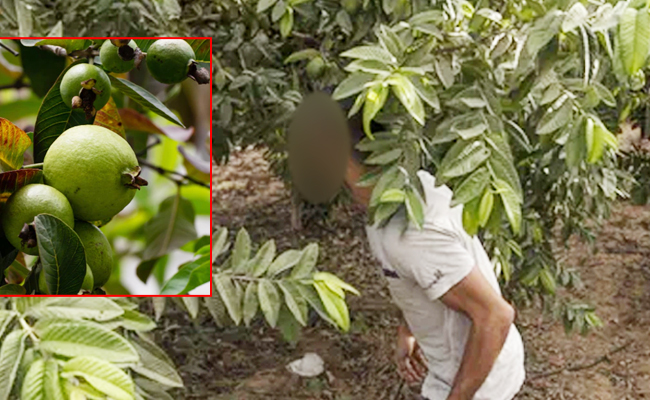 అయ్యా.. మీ కాళ్లు మొక్కుతా.. దొంగతనం చెయ్యలే! | UP Dalit Man Brutally ...