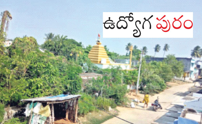 Palasa: లక్ష్మీపురంలో ప్రతి ఇంటిలో ఒక ప్రభుత్వ ఉద్యోగి | Srikakulam ...