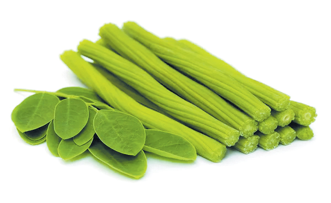 పోషకాల్లో మునగండి | Distribution of Munaga plants to 2 lakh employment ...