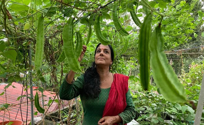 అవును... మిద్దెలపై డబ్బులు కాస్తాయి! | Kerala Rema Devi Farming ...
