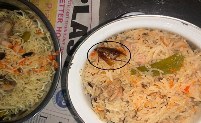 Viral: Cockroach Found In Biryani At Warangal, Restaurants Fined Rs 15 ...