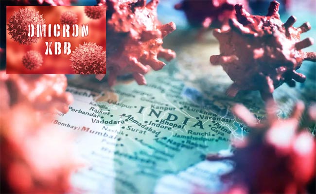 Omicron XXB.1.5 Variant First Positive Case Registered In Gujarat, Know ...