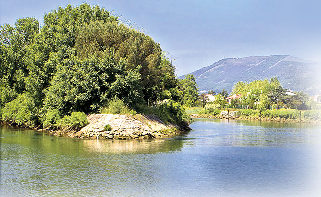 Pheasant Island Changes Nationalities Every 6 Months - Sakshi