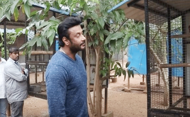 Forest Department Officers Raided the Farmhouse of Actor Darshan Near T. Narasipura - Sakshi