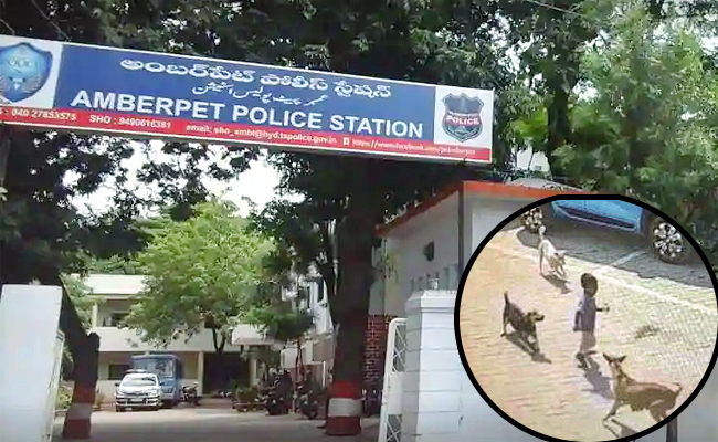 Amberpet Police filed a case on street dog attack incident - Sakshi