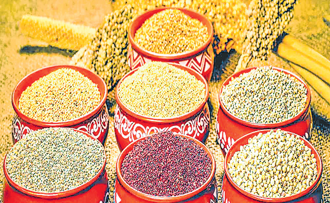 మే నుంచి చిరుధాన్యాల పంపిణీ | Distribution of food grains from May ...