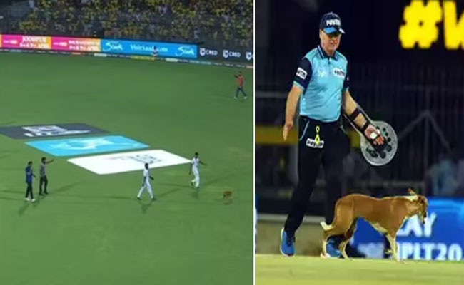IPL 2023: Sunil Gavaskar Fires-Chepauk Staff Dog Delays CSK vs LSG - Sakshi