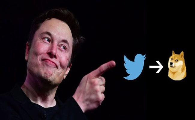 Elon Musk changes Twitter's bluebird to 'Doge' icon, netizens begin ...