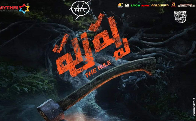 Pushpa 2: The Rule Update Out Now: Where Is Pushpa?, Full Video Reveal ...