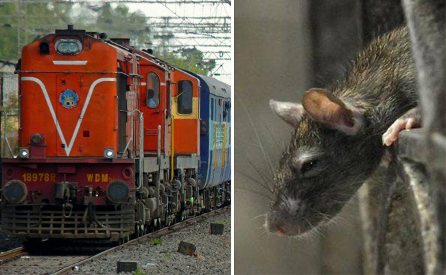 A User Asked Railway Operation Control Centre Monitor Rats, Cockroaches ...