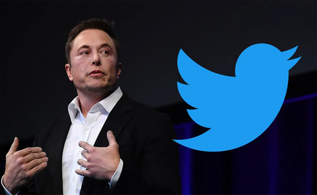 Little Bird Is Back Elon Musk Replaces Twitter Logo - Sakshi Little Bird Is Back Elon Musk Replaces Twitter Logo - Sakshi