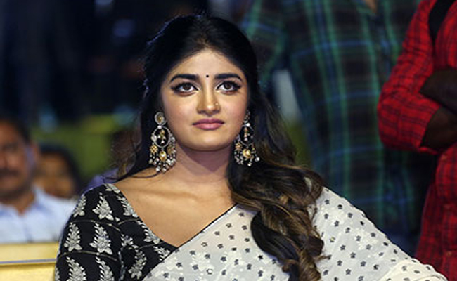 Dimple Hayathi Reacts On Case Booked Against Her - Sakshi