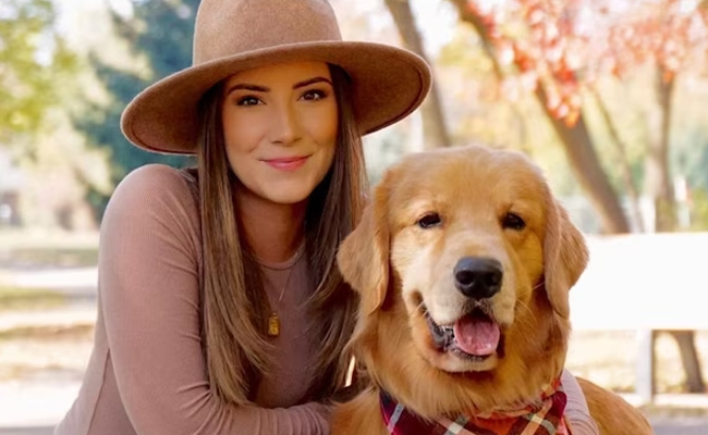 Meet Tucker, the 'influencer' Golden Retriever who earns $1 million a ...