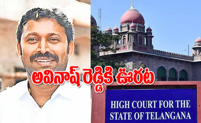 Viveka Murder Case: Telangana High Court Grants Anticipatory Bail To YS Avinash Reddy - Sakshi