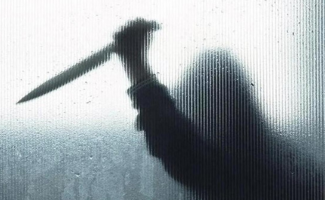 పెద్దల ముందే నరికి చంపాడు.. | Vadina was brutally murdered for property ...