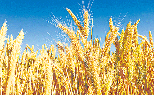 IFA Alvaro Lario Praised That India Has Satisfied The Hunger Of The ...