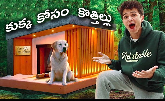 Youtuber Brent Rivera Gifts Luxury House For His Pet Dog, Video Goes ...