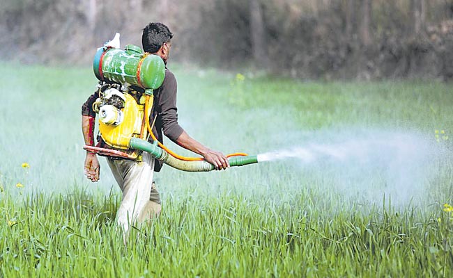 పుడమి తల్లికి తూట్లు! | Excessive use of chemical fertilizers and ...